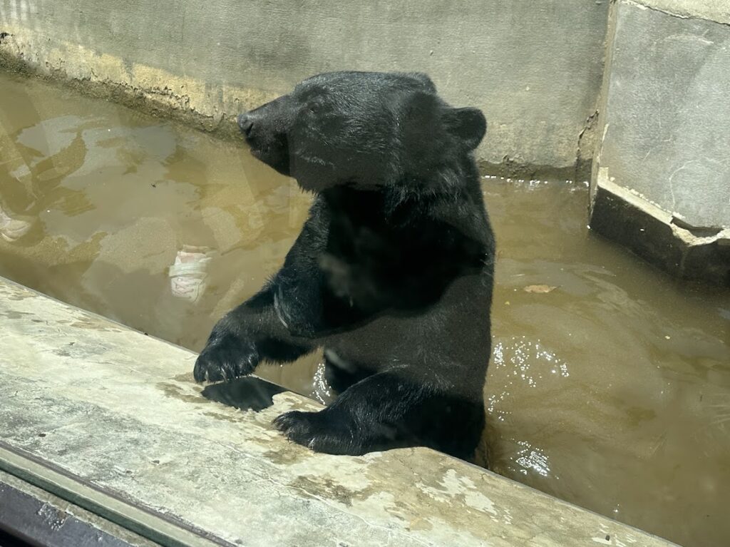 【仙台市太白区】ついにこの時がきた。89ERS仙台開幕！10/4＠ゼビオアリーナ仙台 | 号外NET 仙台市太白区